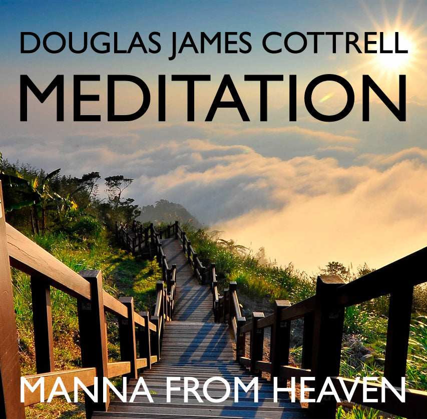Manna From Heaven: Foundations of Quantum Meditation™ Module – Douglas ...